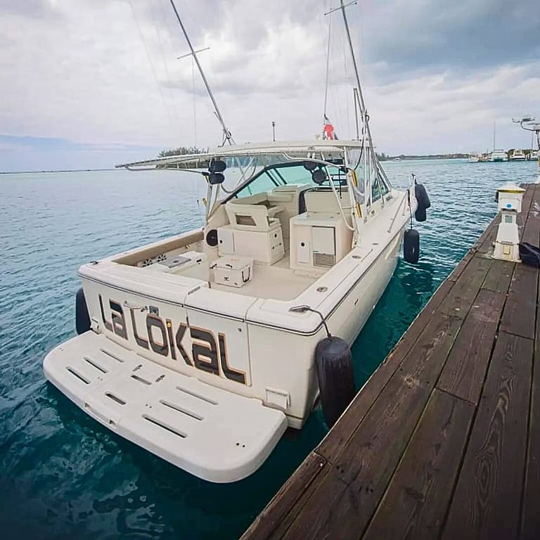 Bus Tour en Cartagena | Rumba Chiva